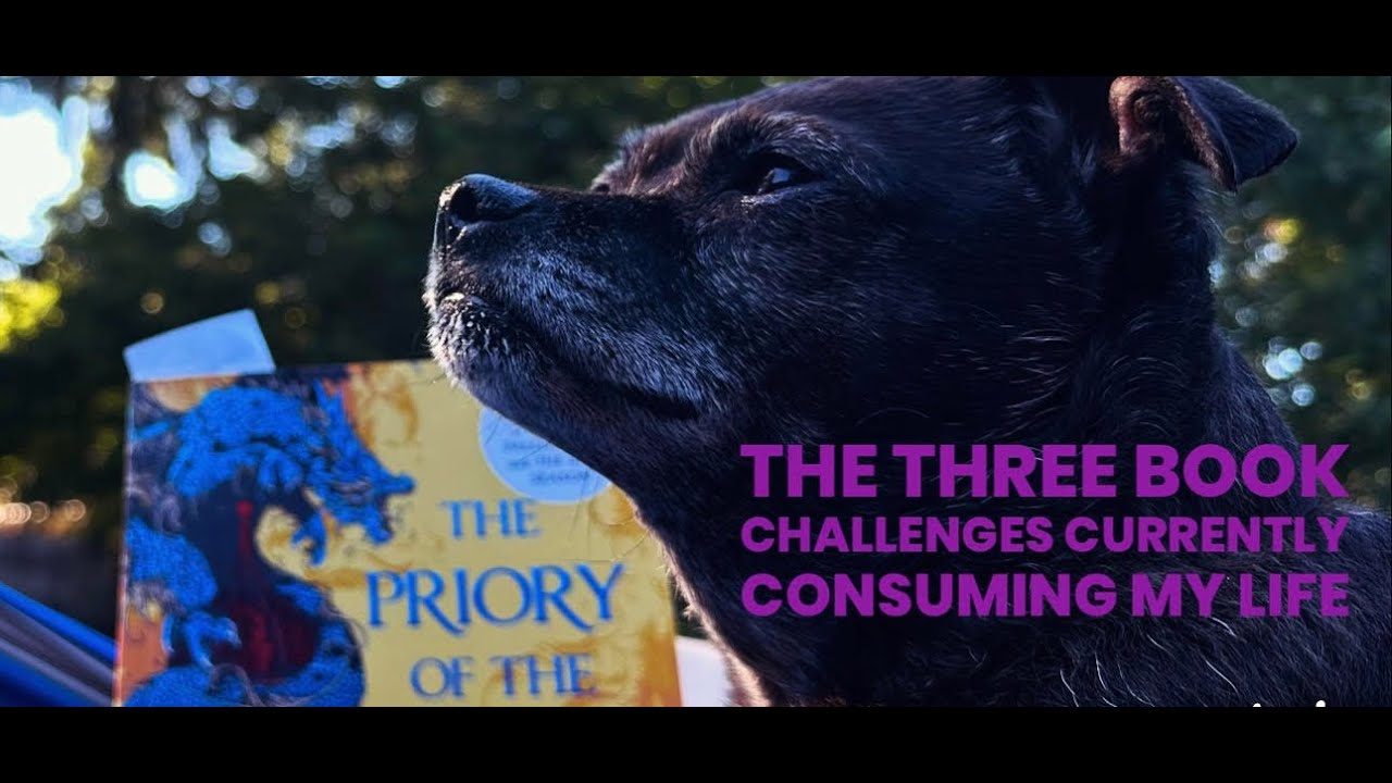 The 3 Book Challenges That Are Currently Consuming My Life - YouTube