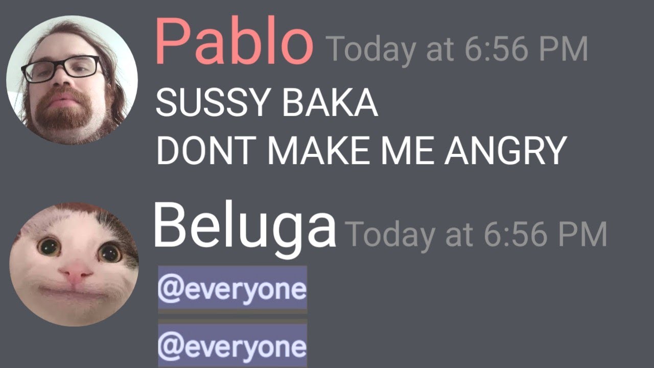When Beluga Destroyed The Discord Mod... - YouTube