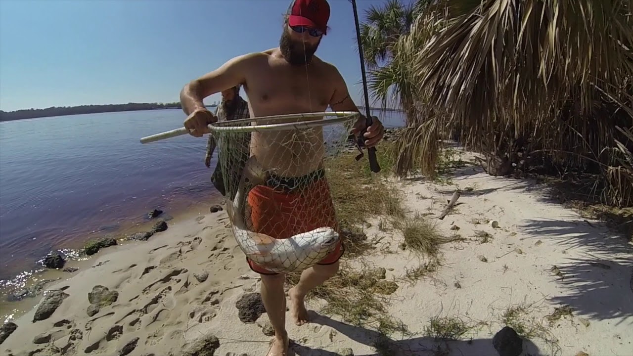 Shark Tooth Island - YouTube