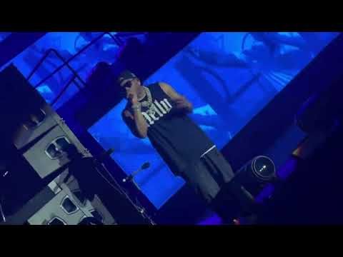 Nelly Preforms Dilemma!!! Perth Concert 28/03/2025 - YouTube