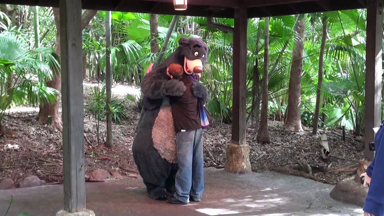 Meeting Baloo at Disney's Animal Kingdom - Walt Disney World (HD) - YouTube