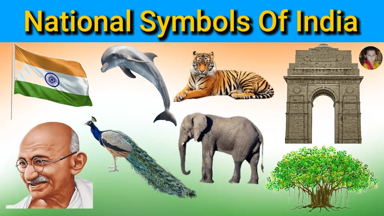 National Symbols of India | भारत के राष्ट्रीय चिन्ह | Indian Symbols ...
