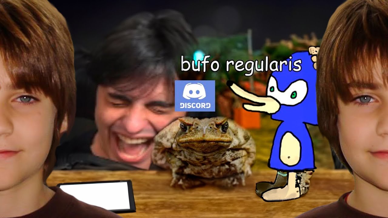 TROTE DO BUFOS REGULARIS | mount reage - YouTube