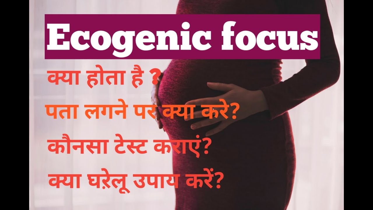 Echogenic Focus Complete Detail In Hindi YouTube