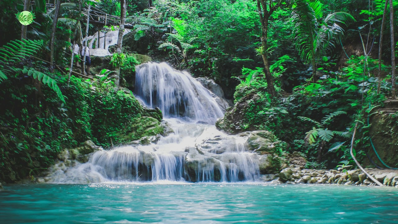 Música relajante para descansar y dormir. Sonidos de la naturaleza ...