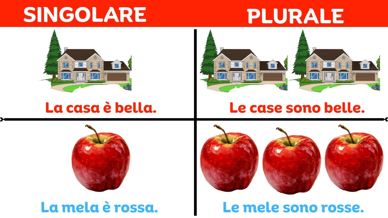 Learn Italian: 120 Singular to Plural Sentences | A1–A2 - YouTube