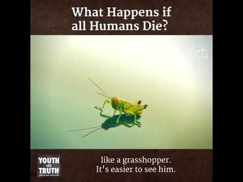 What happens if all humans die?by'Guruji' - YouTube