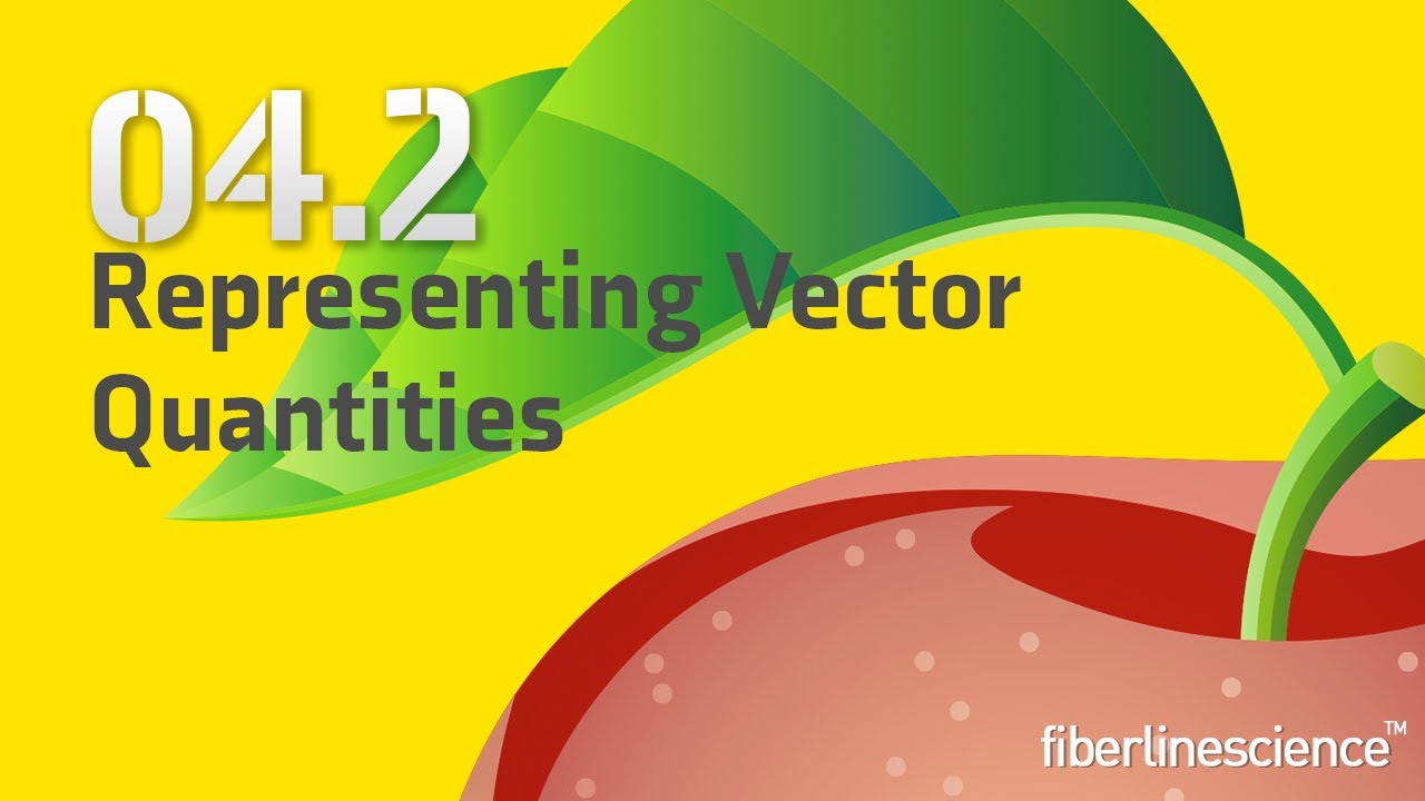 04.2 Representing Vector Quantities - YouTube