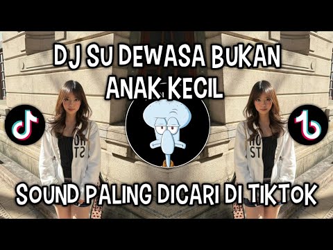 DJ SU DEWASA BUKAN ANAK KECIL || ORA URUS SOUND VIRAL DI TIKTOK ‼️