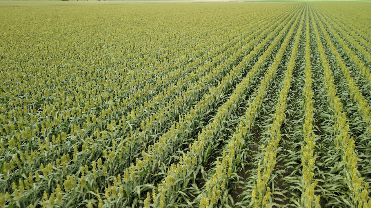 Farmland - 4K - YouTube