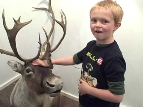 October 18 2008: Peter Yegen Museum - YouTube