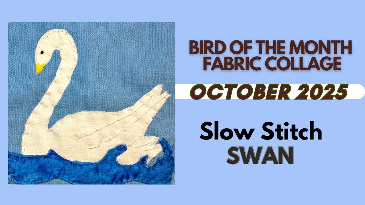 October Swan—Bird of the Month Series - YouTube
