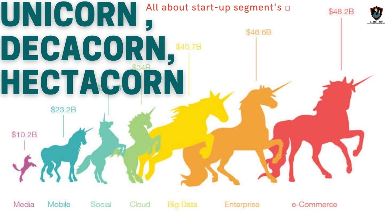 Jenis Jenis Perusahaan Start Up Unicorn Decacorn Hect - vrogue.co