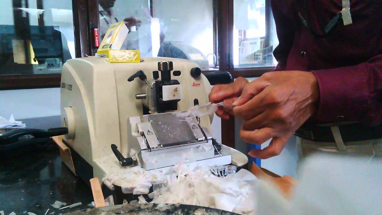 Microtomy serial sections tutorial - YouTube