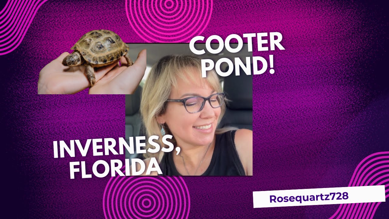 Cooter Pond in Inverness, Florida - YouTube