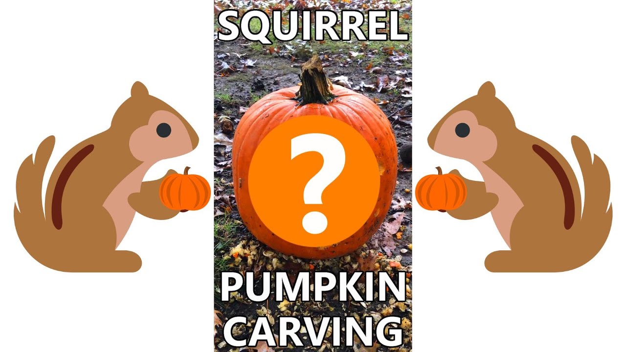 Squirrel Pumpkin Stencil