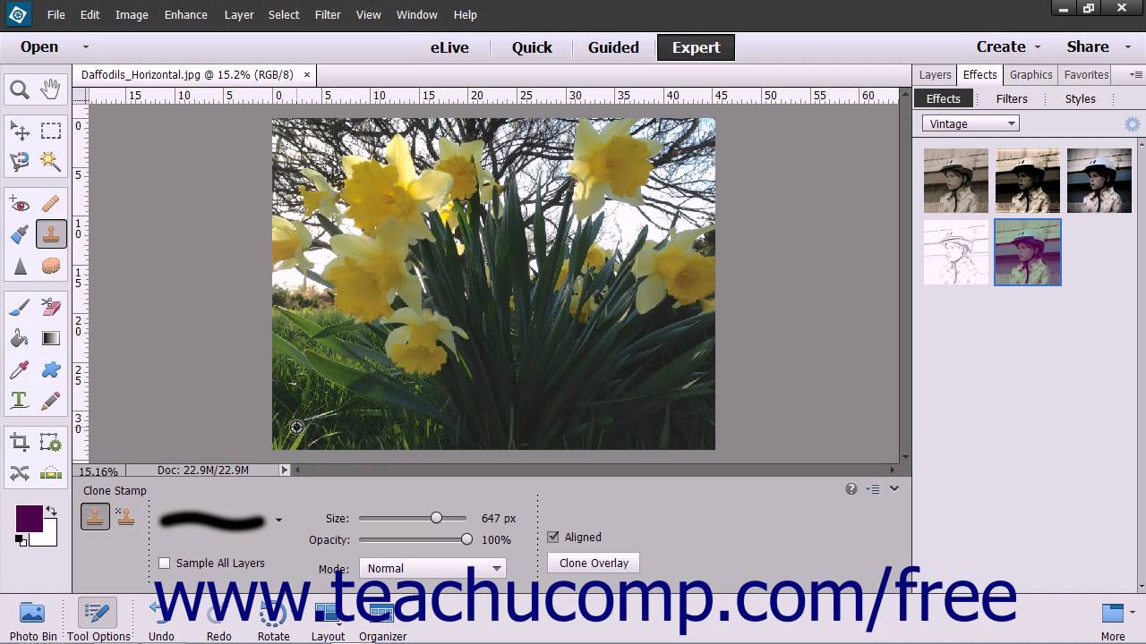 Photoshop Elements 13 Tutorial The Clone Stamp Tool Adobe Training ...