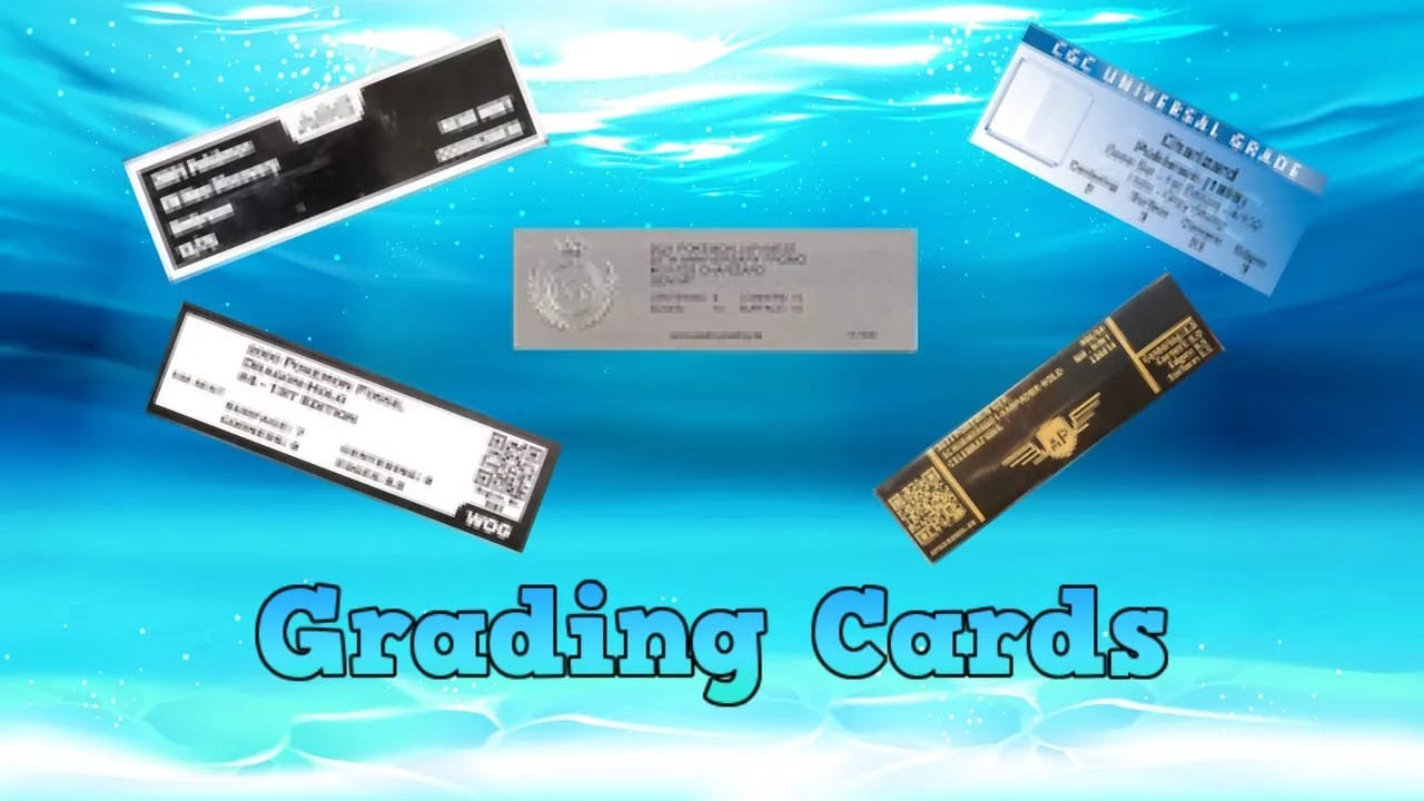 *Grading Cards Sammlung* #new #apgrading #cgcgrading #pgs #aog #grading ...