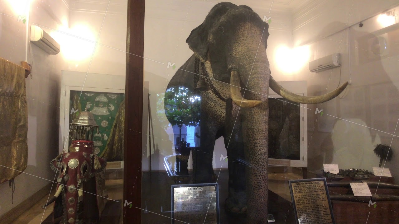 Kandy, Sri Lanka, November 20, 2019, Sri Dalada Maligawa elephant ...