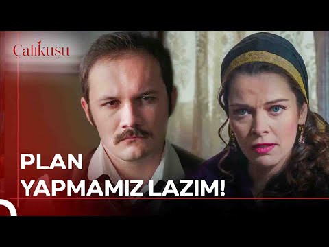 Kamran ve Feride'nin Nişanlanmasına İzin Veremeyiz!  | Çalıkuşu 14. Bölüm