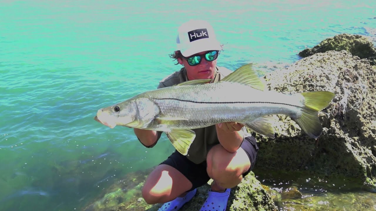 How Did I Land This SNOOK?! (Live Bait Fishing) - YouTube