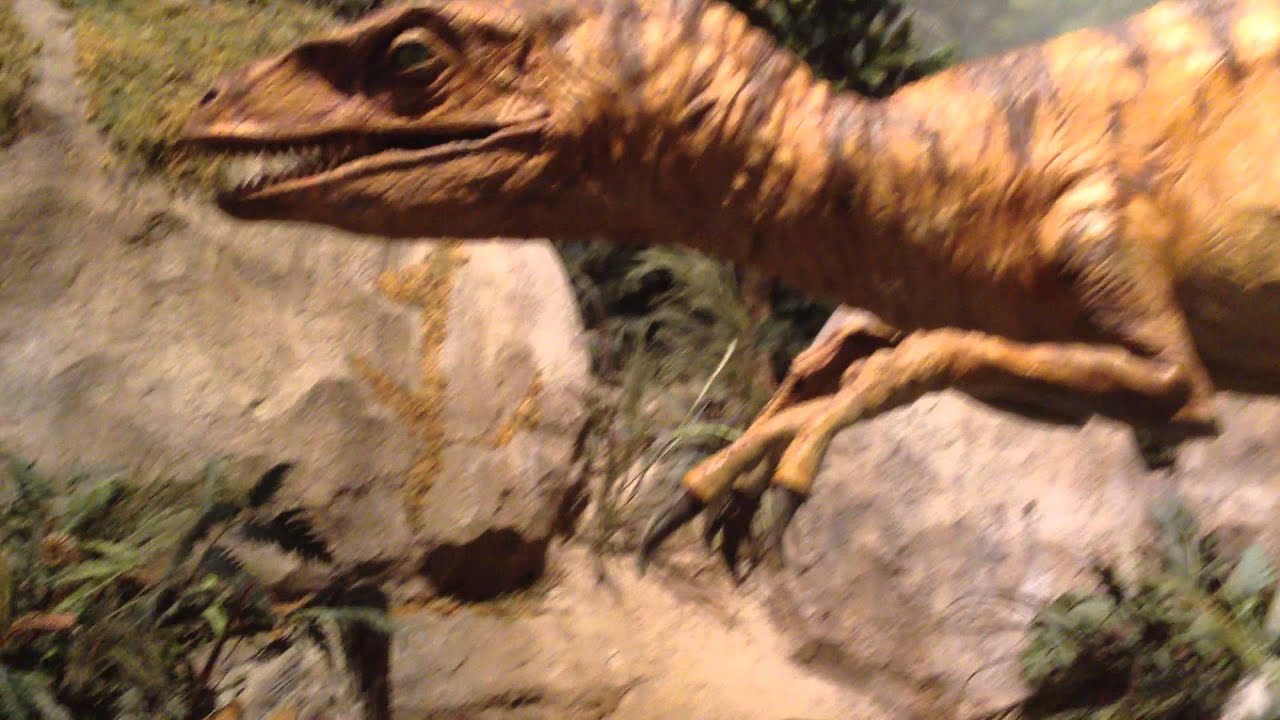 animatronic dinosaur at the Creation Museum - YouTube