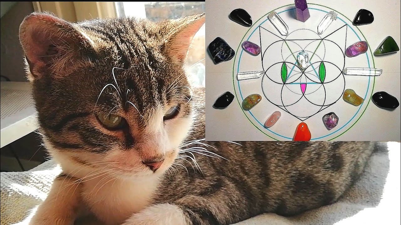 Crystal Grid for Cats! How to draw a unique crystal grid - YouTube