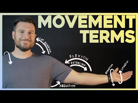 What Plane Of Movement Is Elevation And Depression