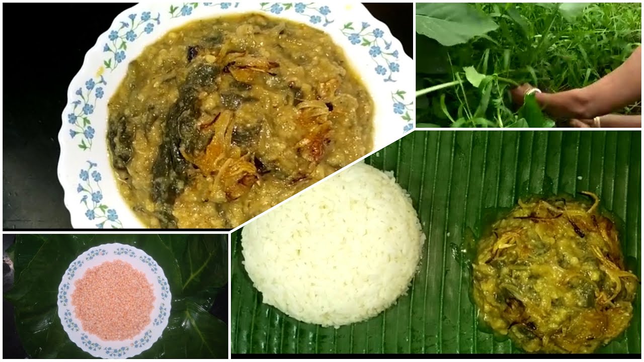 Unique Village Style Kochu Pata-Masoor Recipe | Kochu Patar Recipe ...