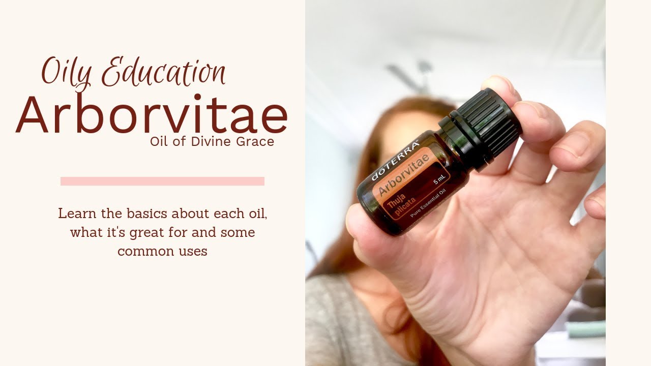 doTERRA Arborvitae –Oily Education - How to use it and what’s it’s ...