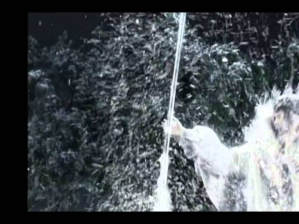 Taiwan's PILI - YouTube