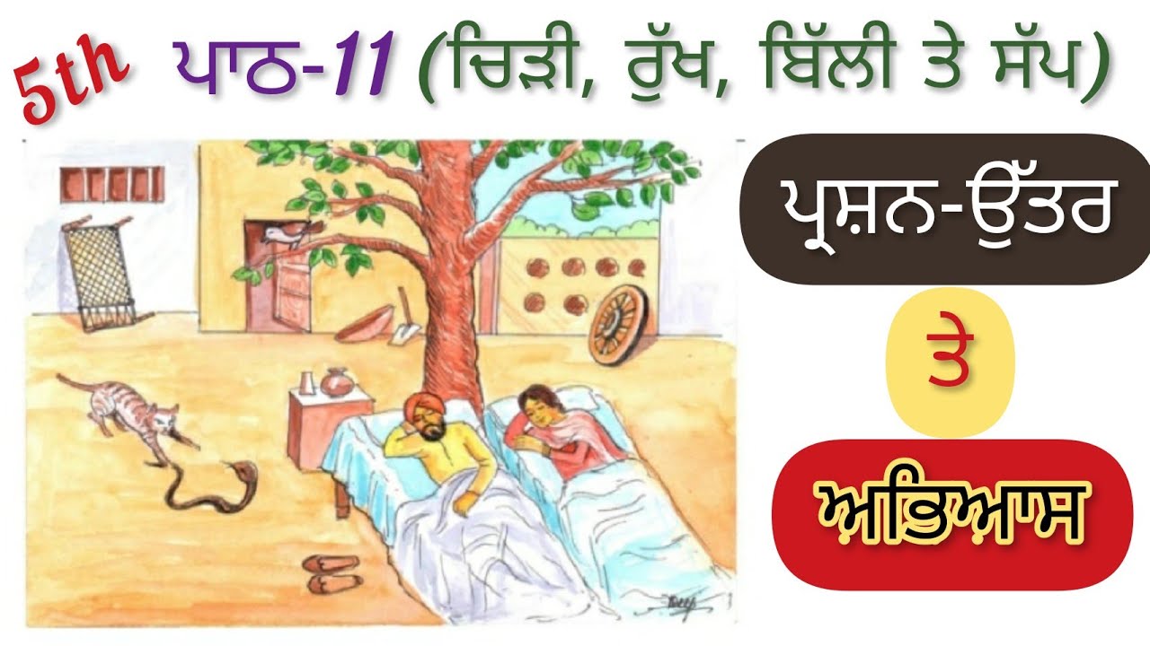 5th class Punjabi | Lesson 11 | ਚਿੜੀ, ਰੁੱਖ, ਬਿੱਲੀ ਤੇ ਸੱਪ | ਪ੍ਰਸ਼ਨ-ਉੱਤਰ ...