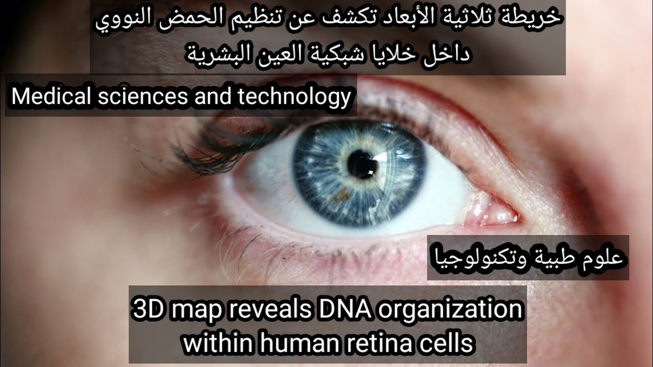 3D map reveals DNA organization within human retina cells - YouTube