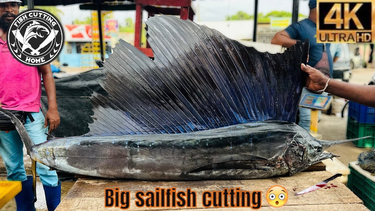 😯 LONG SAILFISH CUTTING | MASTER CUTTER RAMESH 🐠🔪 #fishcutting # ...