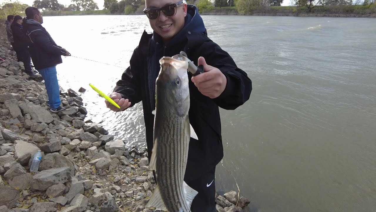 Striper fishing in Sacramento river 3/24/24 - YouTube