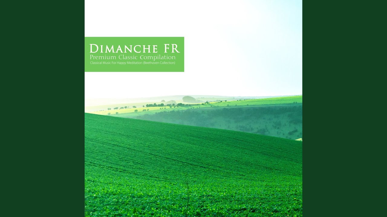 String Quartet No.3 In D Major, Op.18 No.3 - II. Andante con moto - YouTube