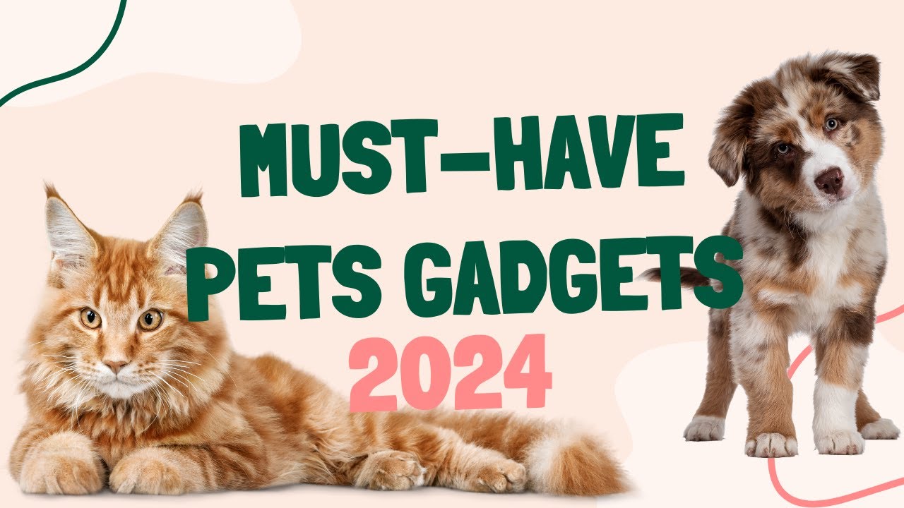Discover the Top 10 Pet Gadgets for 2024! - YouTube