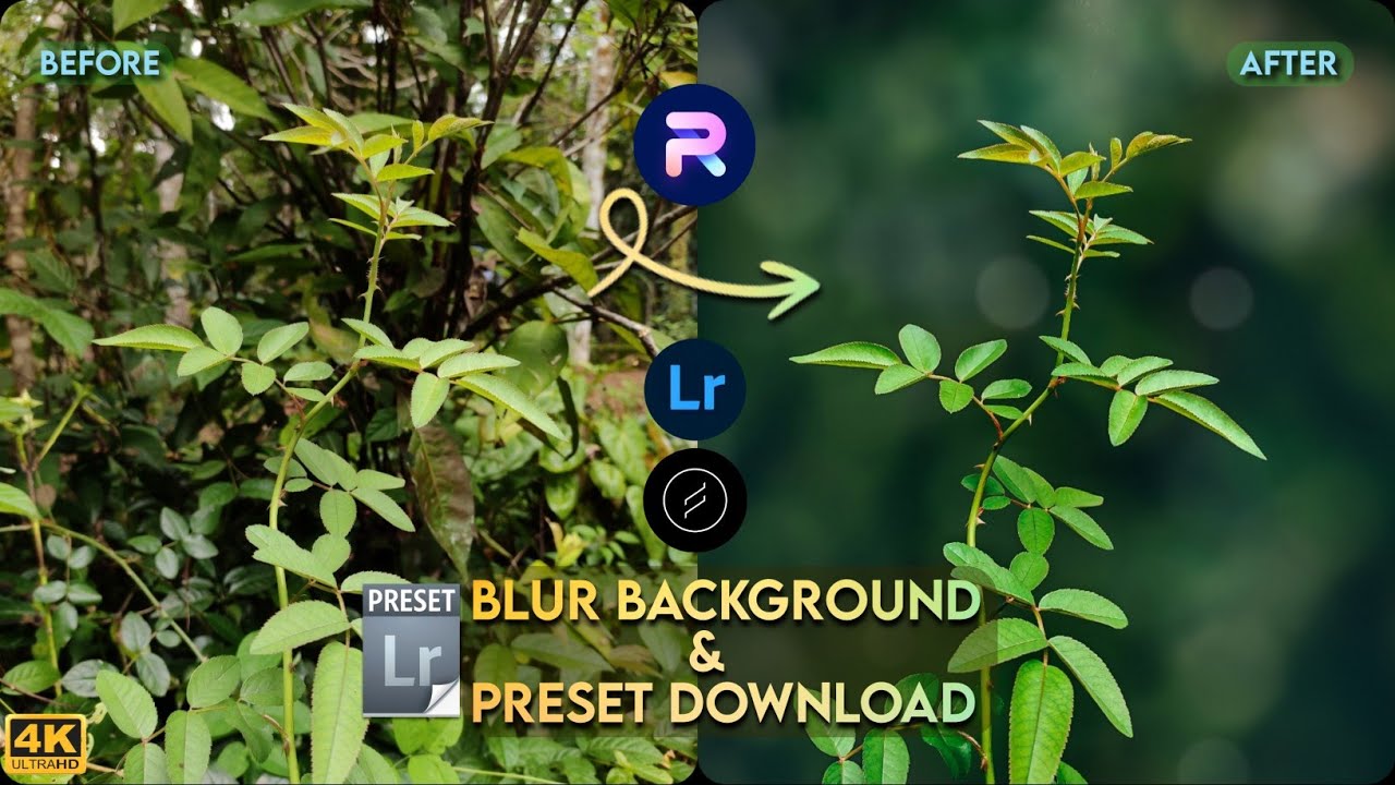 Transform your photos with expert blur background editing | Download ...