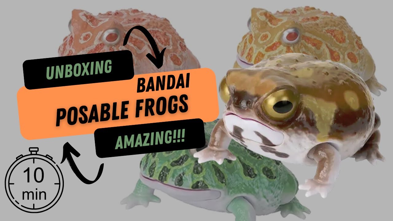 HONEST REVIEW! Bandai Desert Rainfrog & Pacman Toad BJD Toys - YouTube