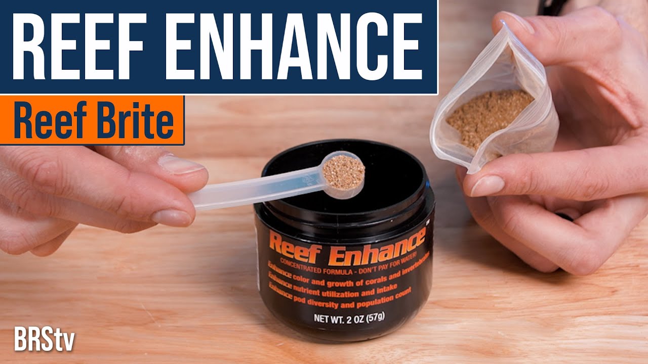 Reef Brite Reef Enhance & Live Rock Enhance: Taking Care of Your Filter ...
