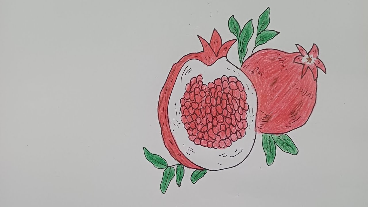 Beautiful Pomegranate Drawing | Easy Fruit Art for Beginners - YouTube