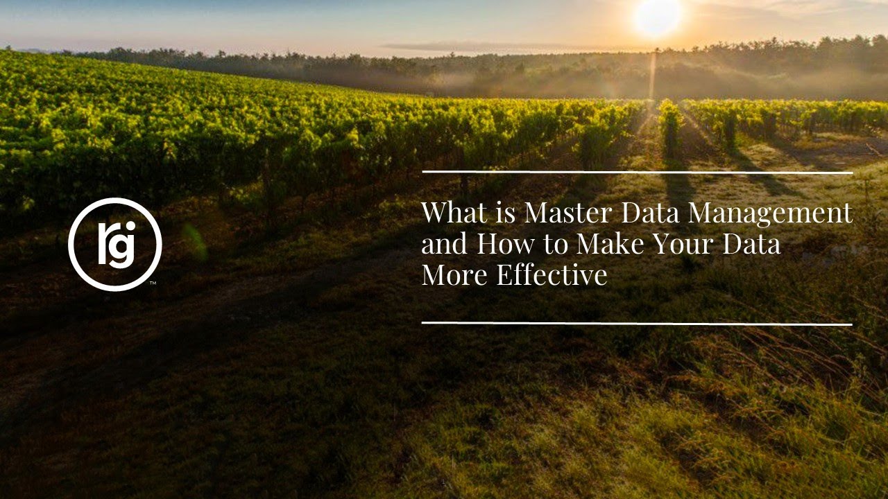What Is Master Data Management And How To Make Your Data More Effective what-is-master-data-management-and-how-to-make-your-data-more-effective
