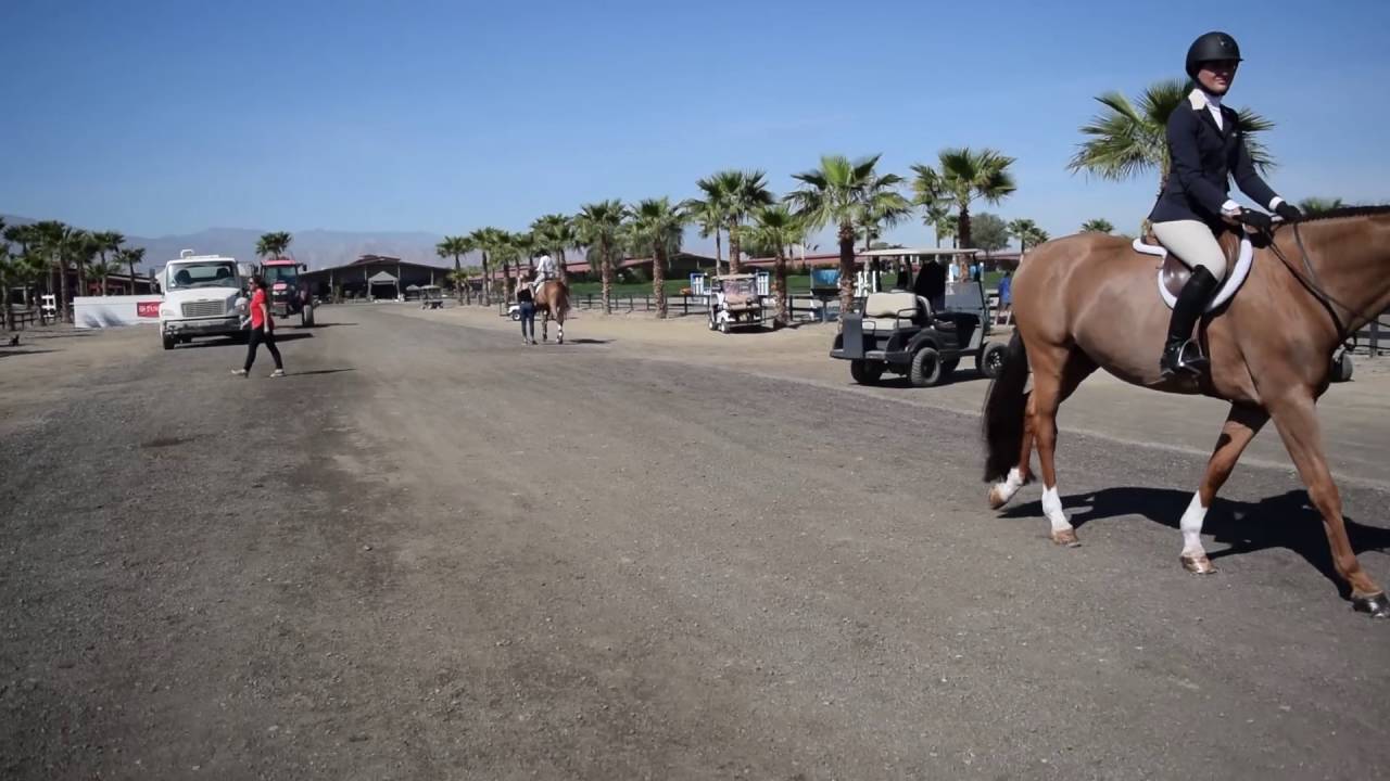 The Desert Show Experience - YouTube