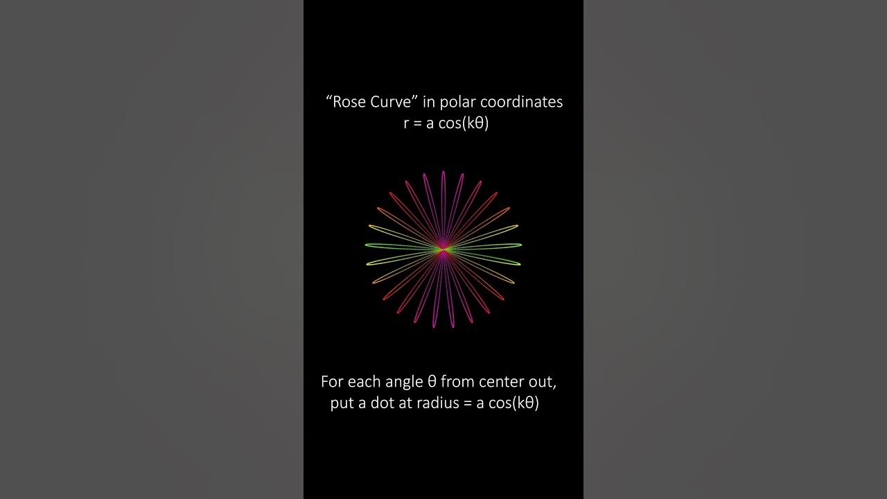 Make Rose Curves with One Simple Function - YouTube