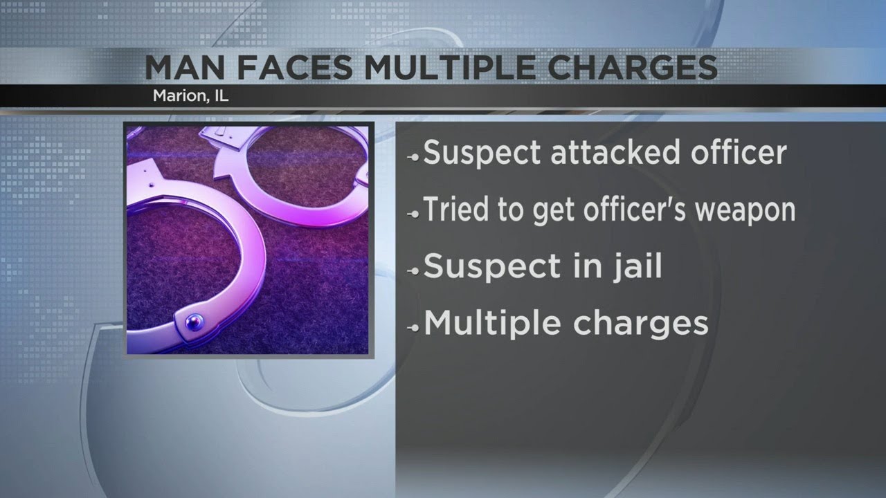 K-9 officer helps handler detain suspect during physical altercation in ...