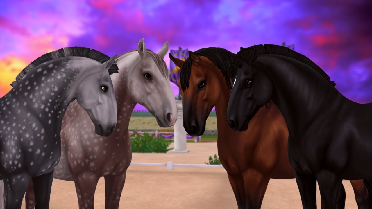 Buying & Reviewing the NEW Lipizzanos, Dressage & SO Much More! ~ [SSO ...