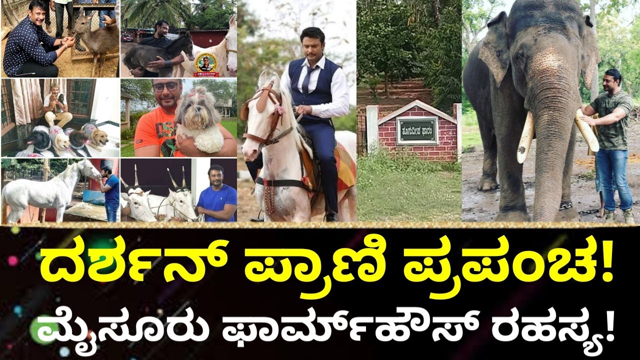 ಯಜಮಾನನ ಗರಡಿಯಲ್ಲಿರೋ ಪ್ರಾಣಿಗಳೆಷ್ಟು ಗೊತ್ತಾ..? | Darshan Toogudeep | Robert ...