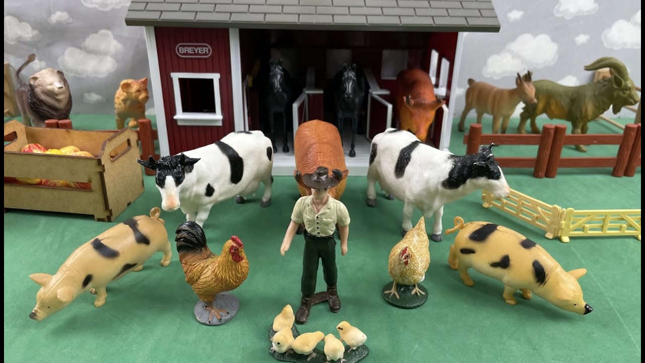 CARTS AND TRACTORS TRANSPORTING THE FARM ANIMALS / CARRETAS E TRATORES ...