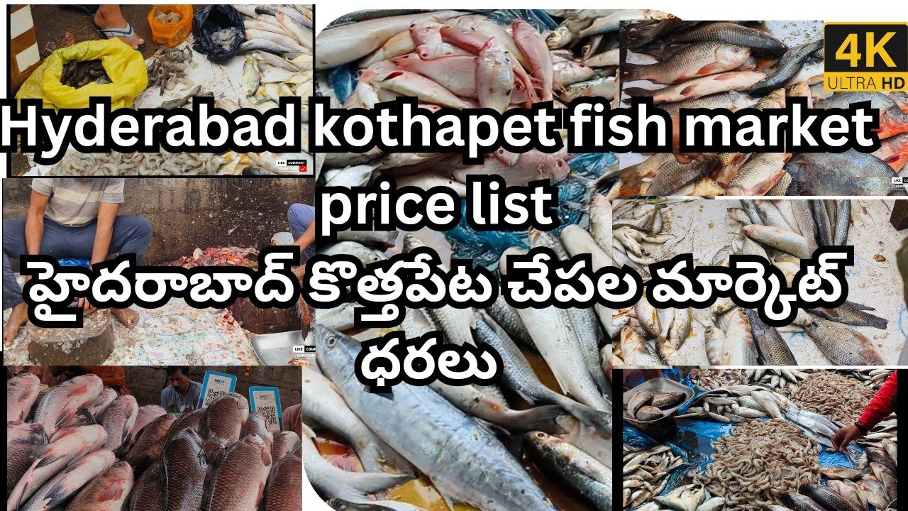 Hyderabad kothapet fish market price list walk through - YouTube