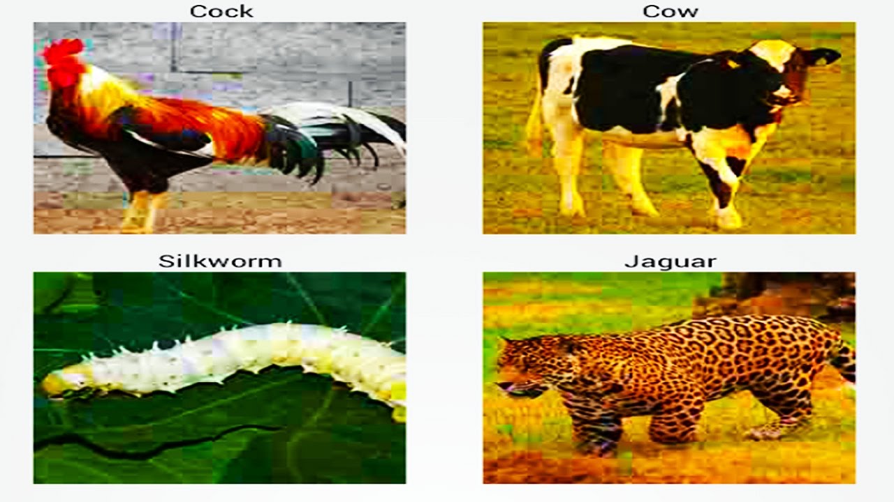 Learning Animals HD Animals Sounds For Kids Learning Wild Animals ...